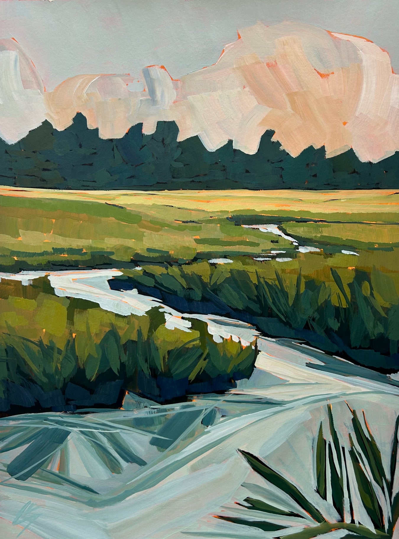 Sam Chappell – The Campbell Collective